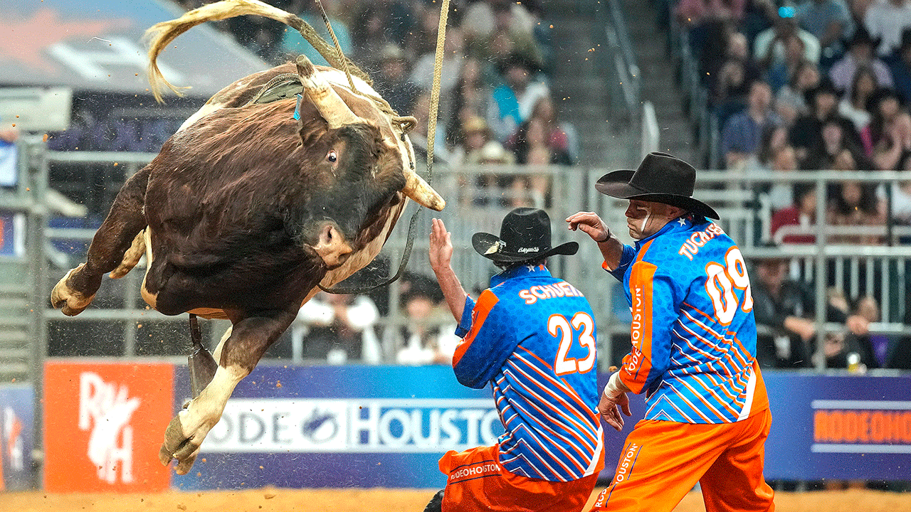 Lainey Wilson, Luke Bryan and Eric Church are part of the 2024 Houston ...