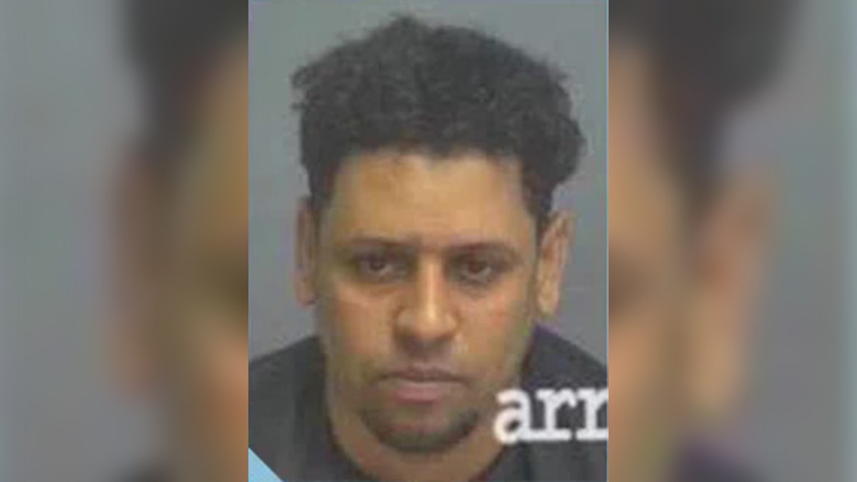 Venezuelan migrant illegally in US charged for sexual assault against ...